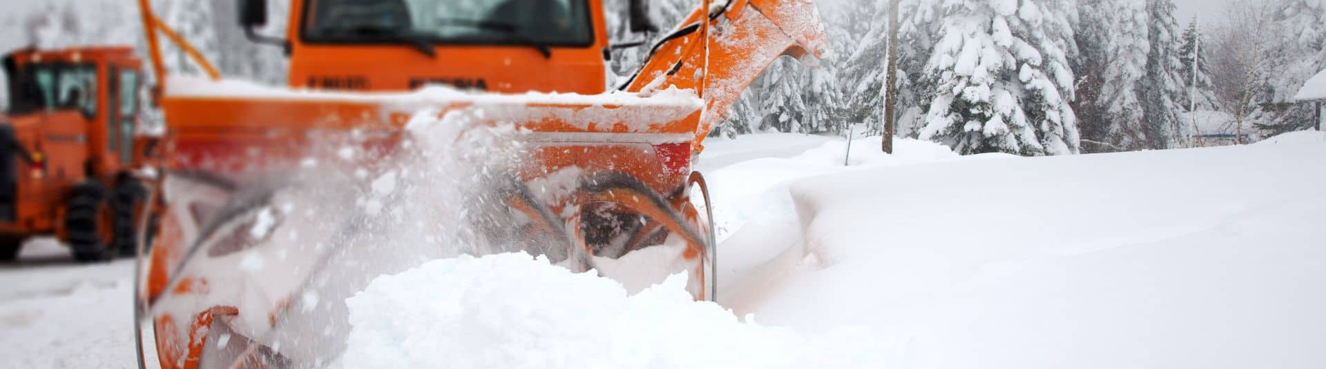 Professional Removal and Ice Prevention Services for Winter